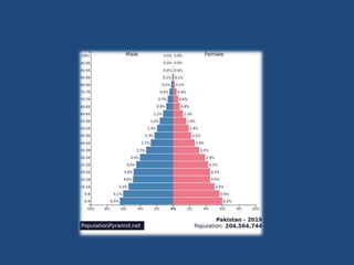 My Own Demography 3 Population Pyramid.pptx