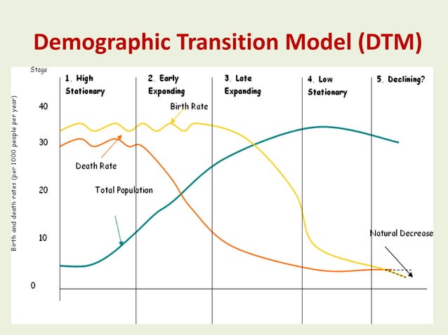 My Own Demography 4 Demographic transition.pptx