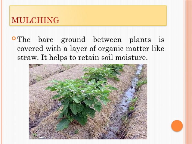 my own Land,Soil,Water,Natural Vegetation& Wildlife Resources.pptx