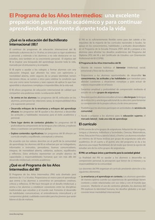 Folleto sobre el PAI | PDF