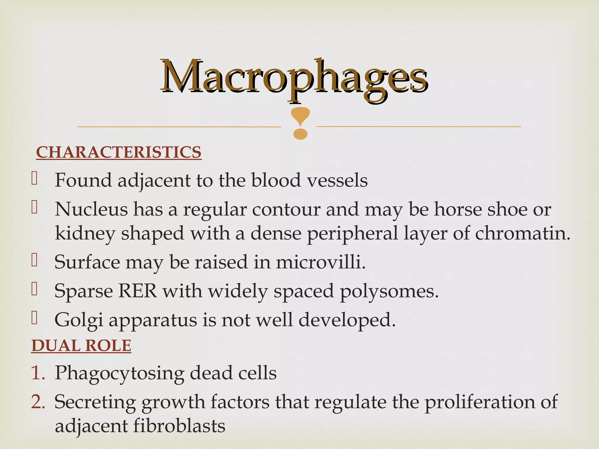 PDL, PERIODONTAL LIGAMENT. | PPT | Dental Health | Diseases and Conditions