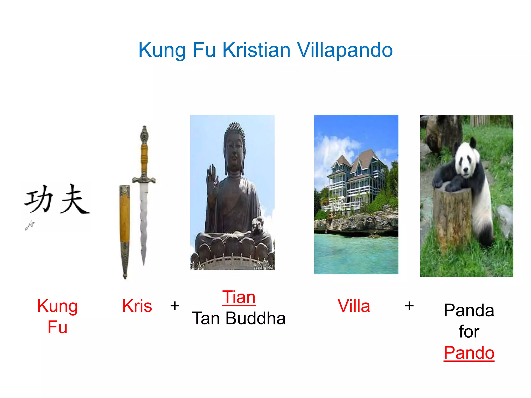 Kung Fu Pando: My Personal Brand Story | PPTX | Martial Arts | Sports