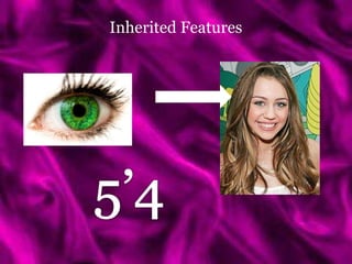 My Personality | PPT | Celebrity Families | Pop Culture