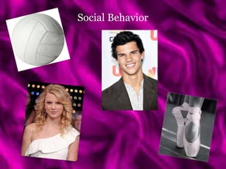 My Personality | PPT