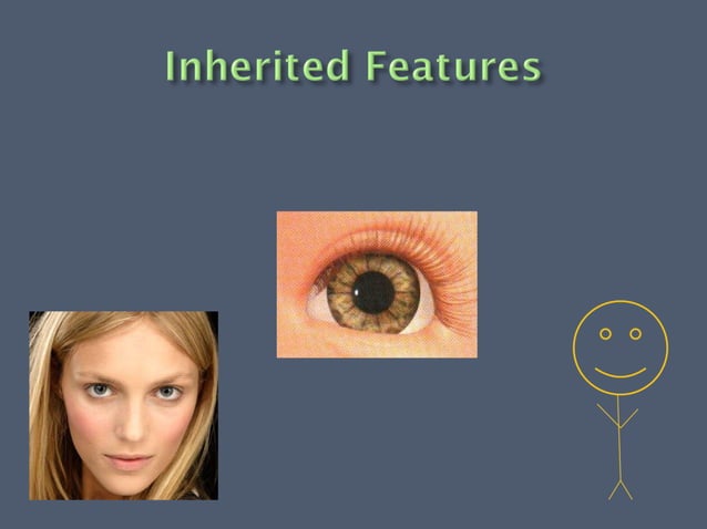 My Personality Powerpoint | PPT