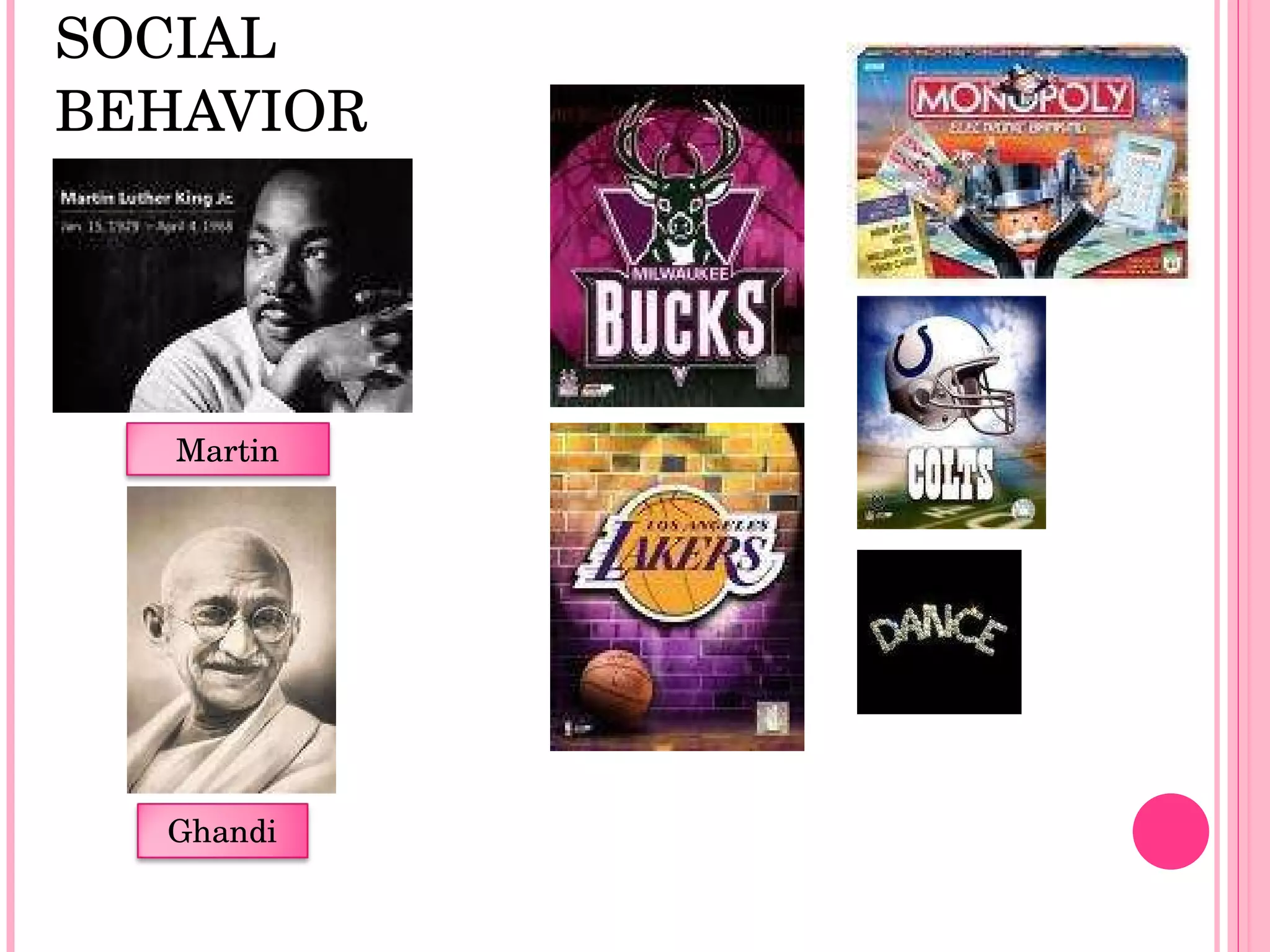 My Personality Project | PPT | Celebrity Families | Pop Culture