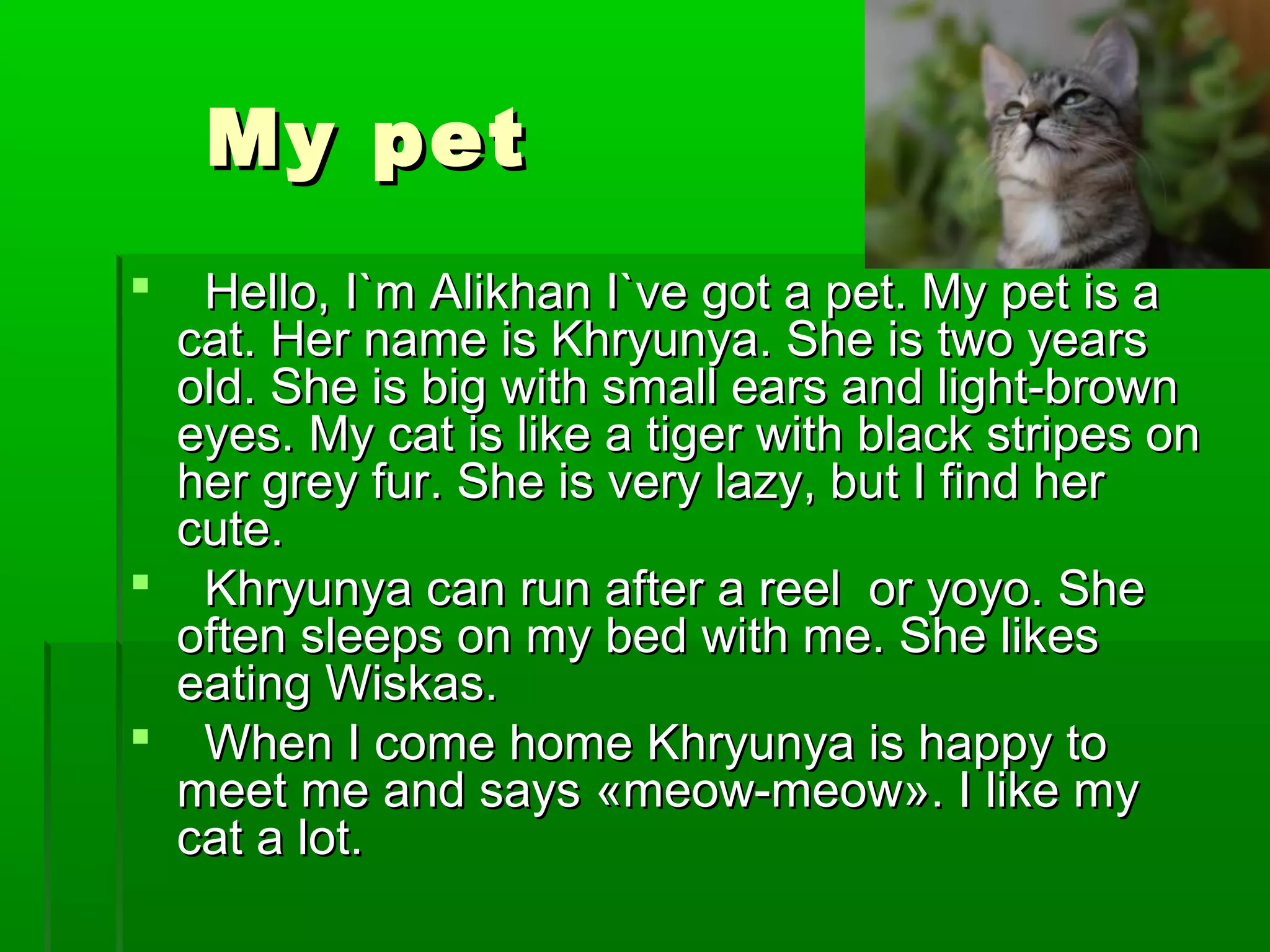 My pet | PPT