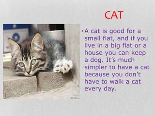 My pet | PPTX | Dogs | Pets