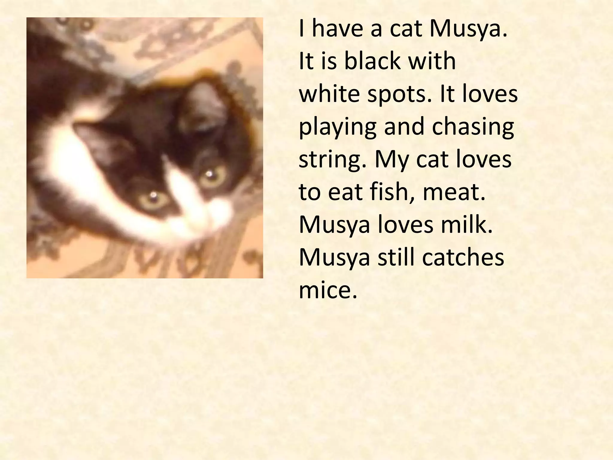 My pet | PPT