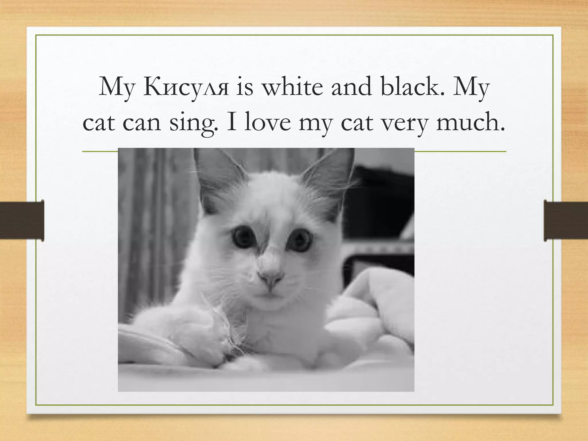 My lovely pet. | PPT