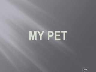 My pet - presentation grade 1 powerpoint | PPTX