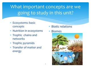 Myp intro 2014 unit 3 2º | PPTX