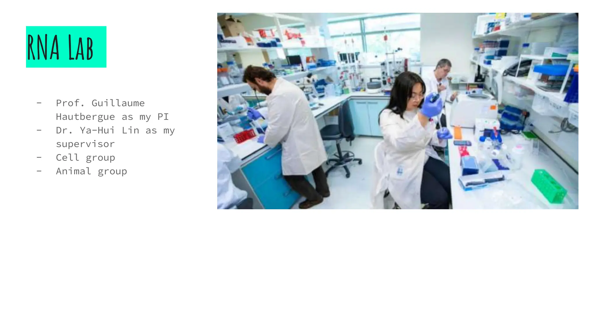 My placement 2022/2023 at Sitran with RNA bio LAb under Prof. Guillaume ...