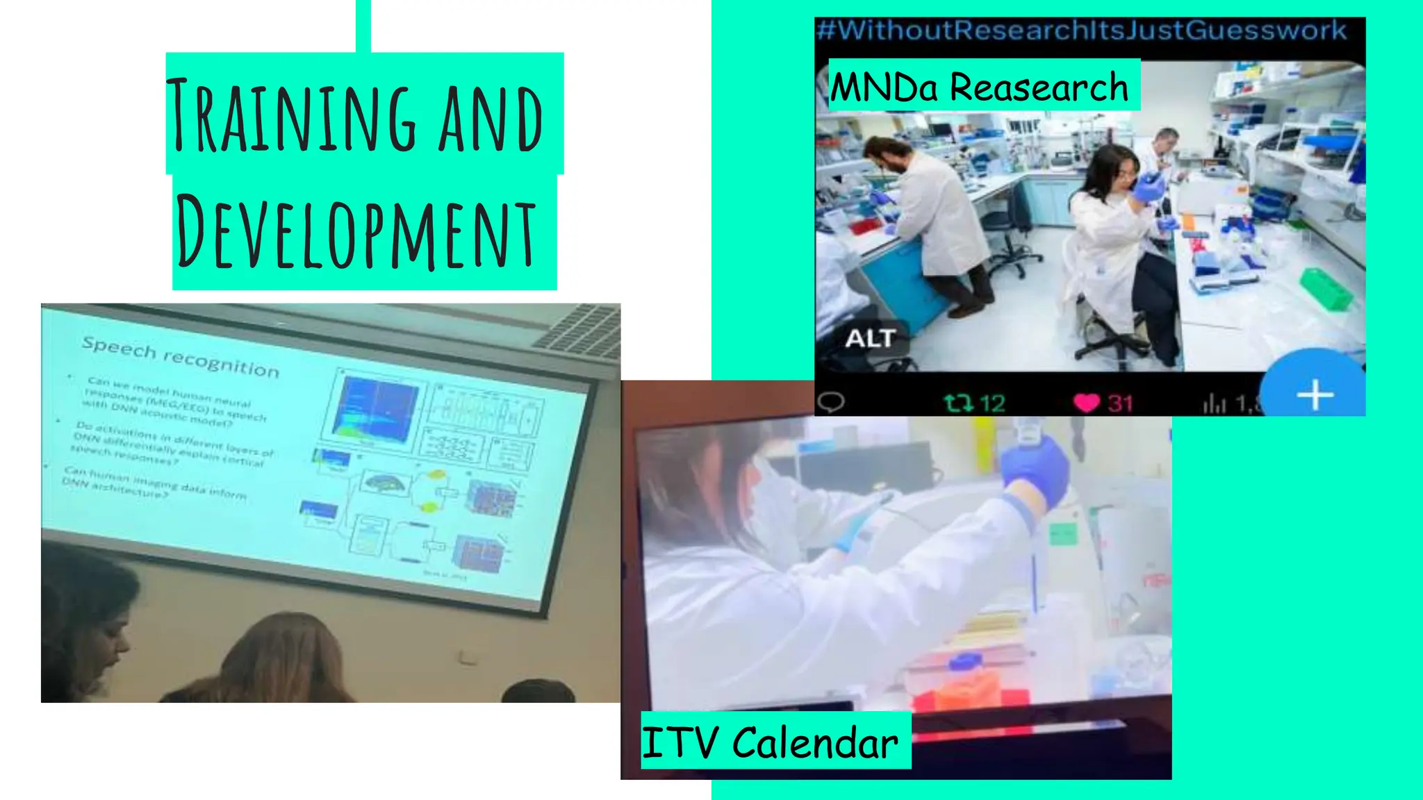 My placement 2022/2023 at Sitran with RNA bio LAb under Prof. Guillaume ...