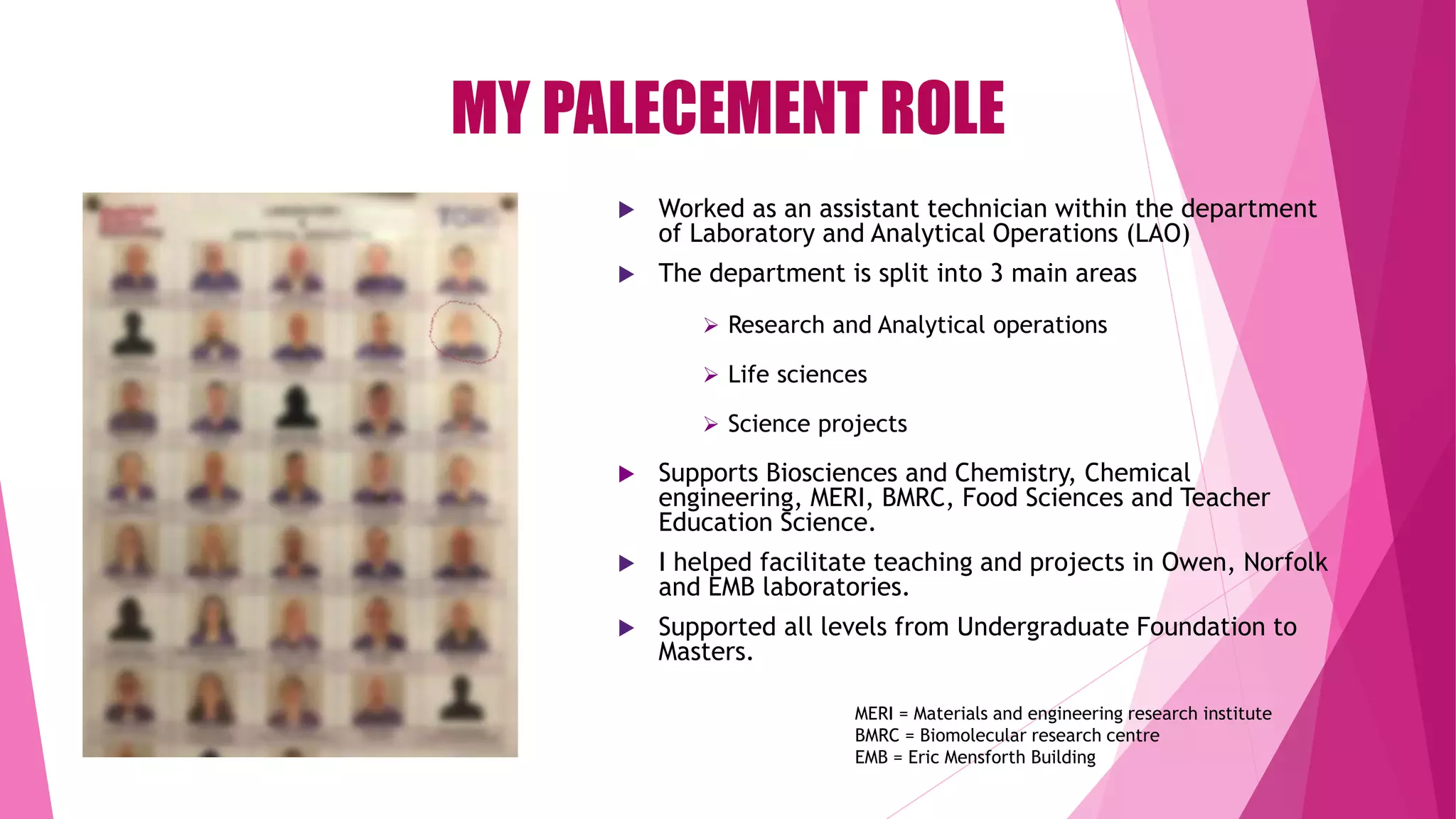 My Placement Experience Power Point Slides | PPTX