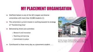 My Placement Experience Power Point Slides | PPTX
