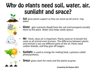 My plant words a study guide | PDF