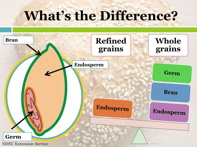 MyPlate- Make Half Your Grains Whole Grains | PPT