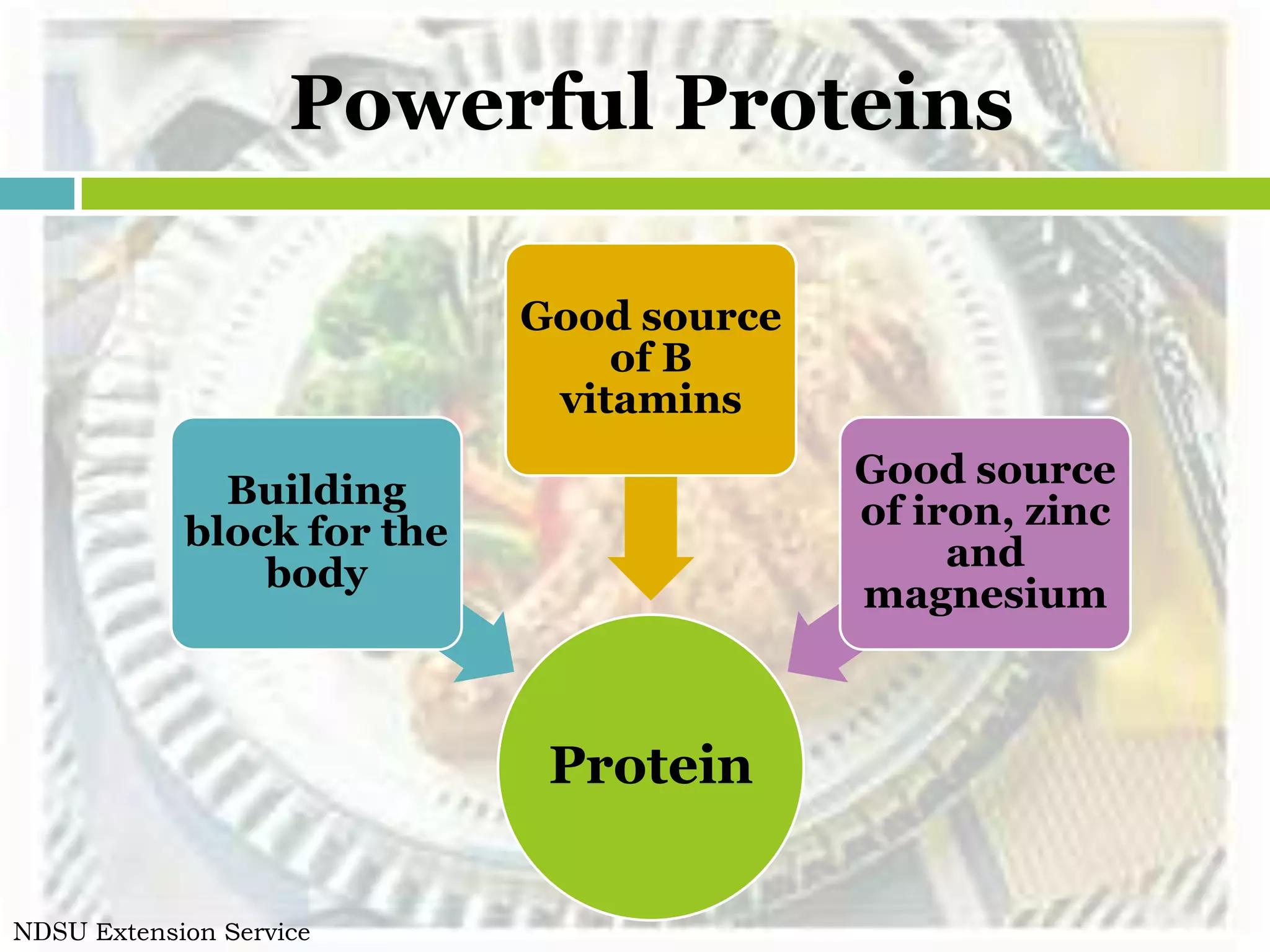 MyPlate- Go Lean with Protein | PPTX