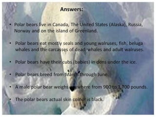 My polar bear project by india | PPT