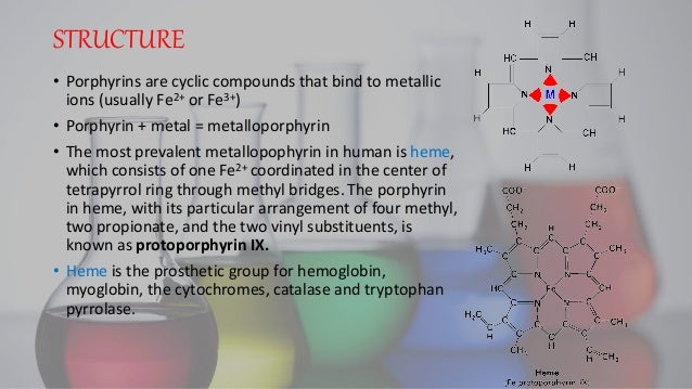 porphyrin metabolism