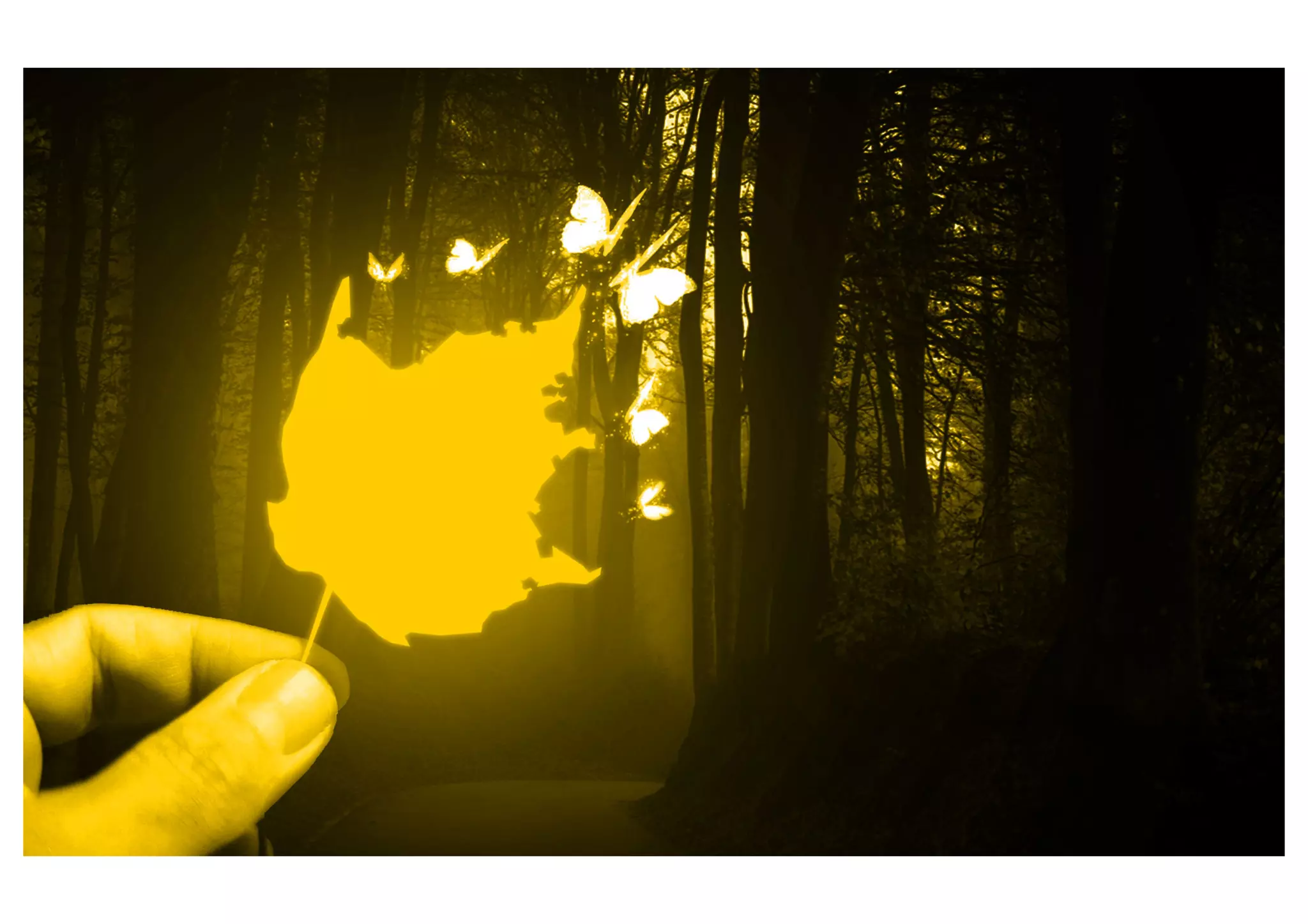 My portfolio and exercises with Adobe Photoshop | PDF