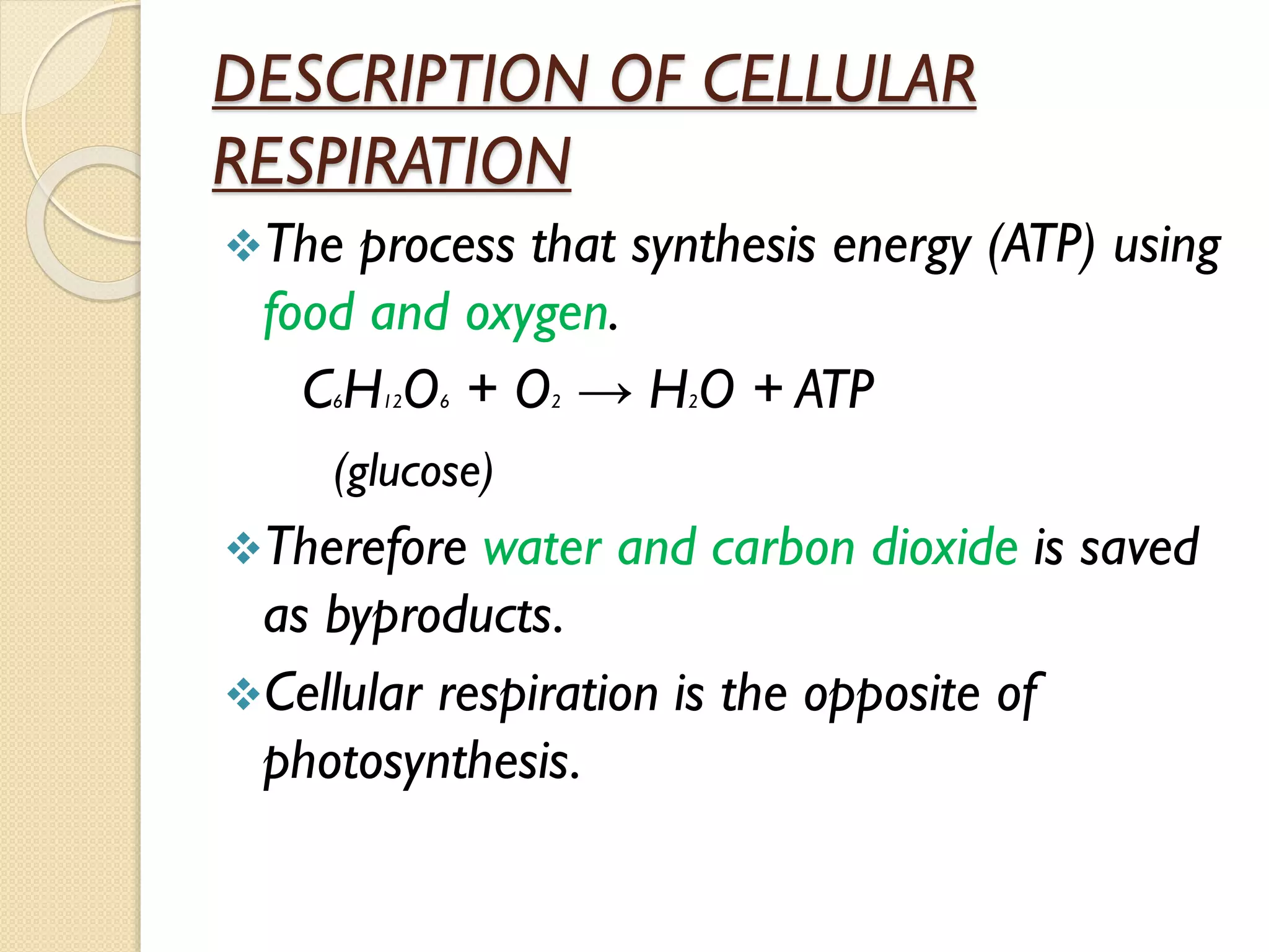 CELLULAR RESPIRATION FOR GRADE 12 | PPTX