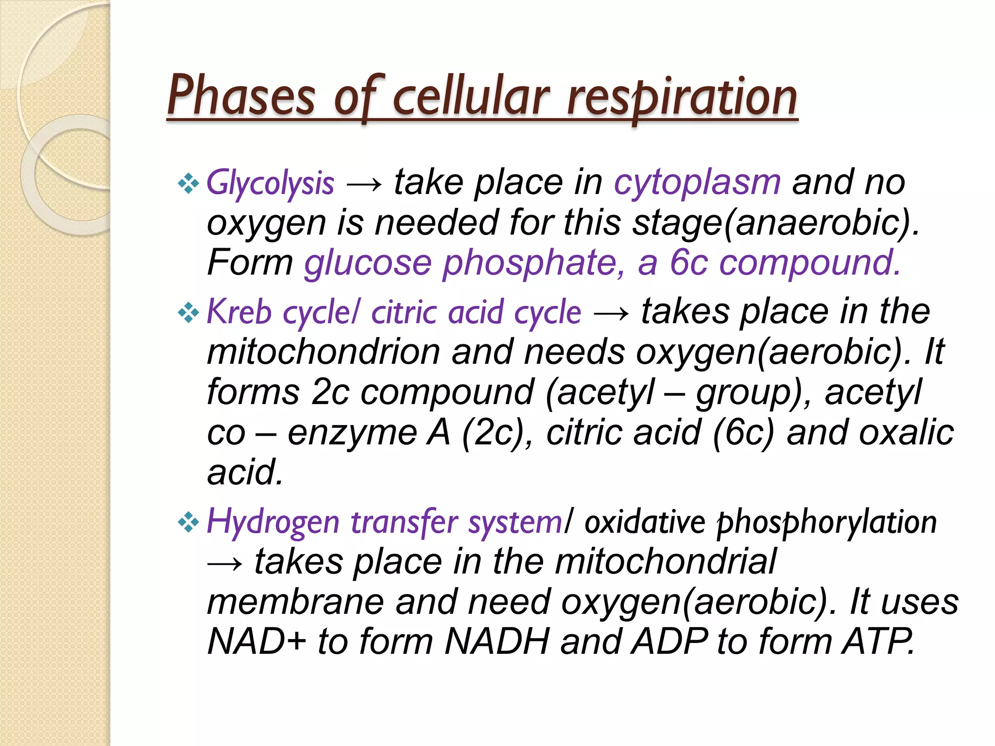 CELLULAR RESPIRATION FOR GRADE 12 | PPTX