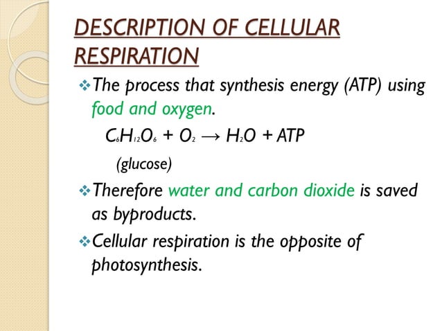 CELLULAR RESPIRATION FOR GRADE 12 | PPTX | Biological Sciences | Science