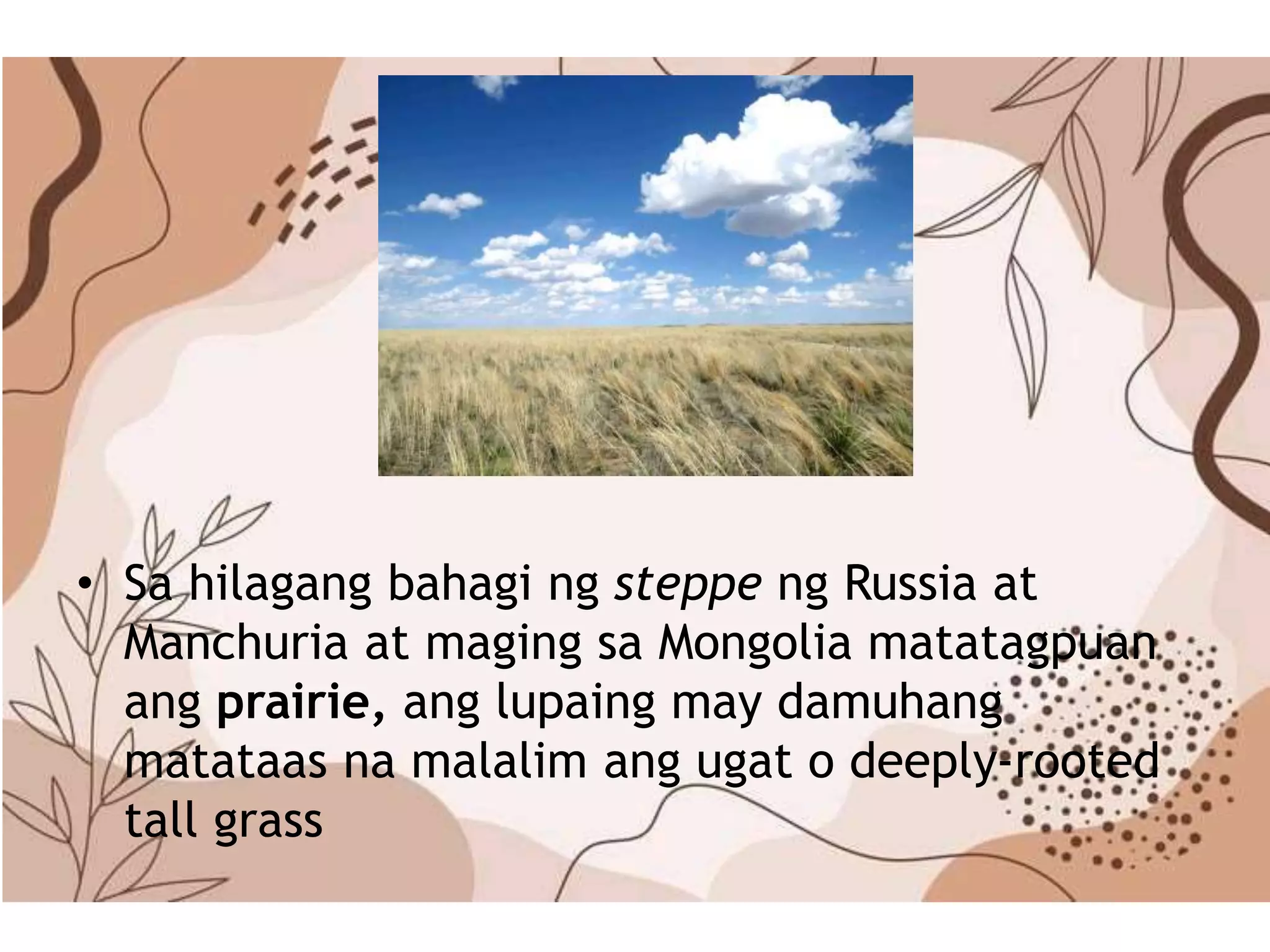 Vegetation Cover ng Asya AP7 | PPTX