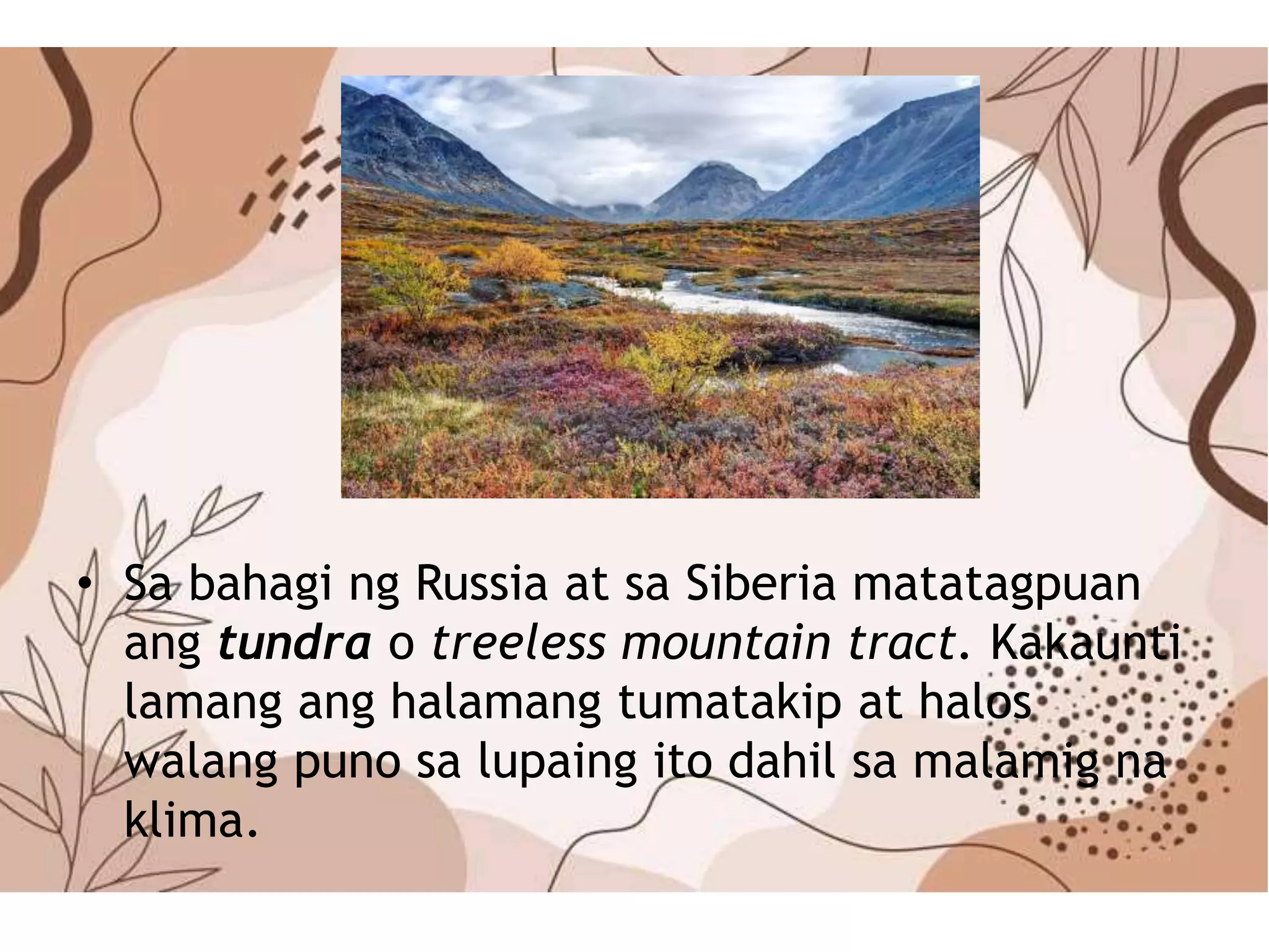 Vegetation Cover ng Asya AP7 | PPTX