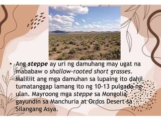 Vegetation Cover ng Asya AP7 | PPTX