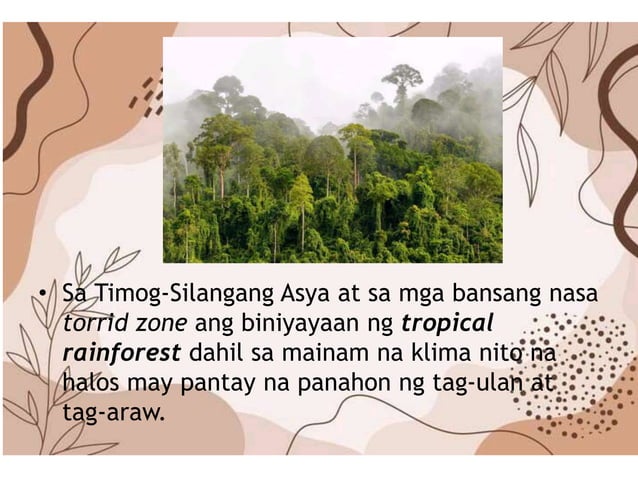 Vegetation Cover ng Asya AP7 | PPTX