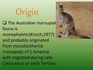 Biology of kangaro | PPTX