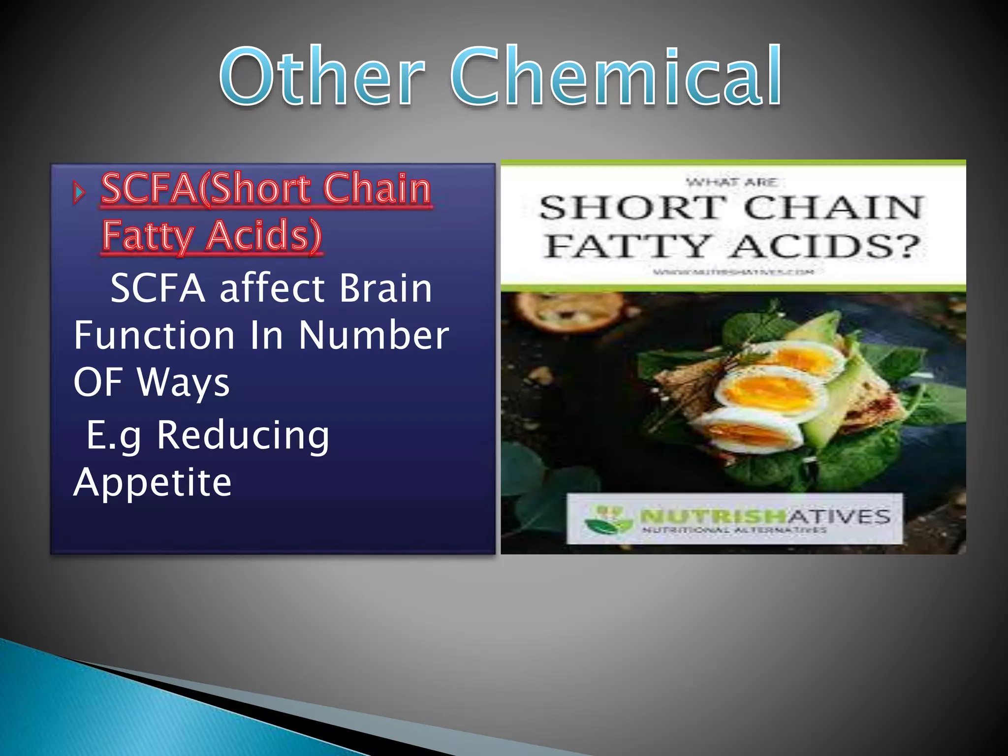 Enteric system as a small brain | PPTX