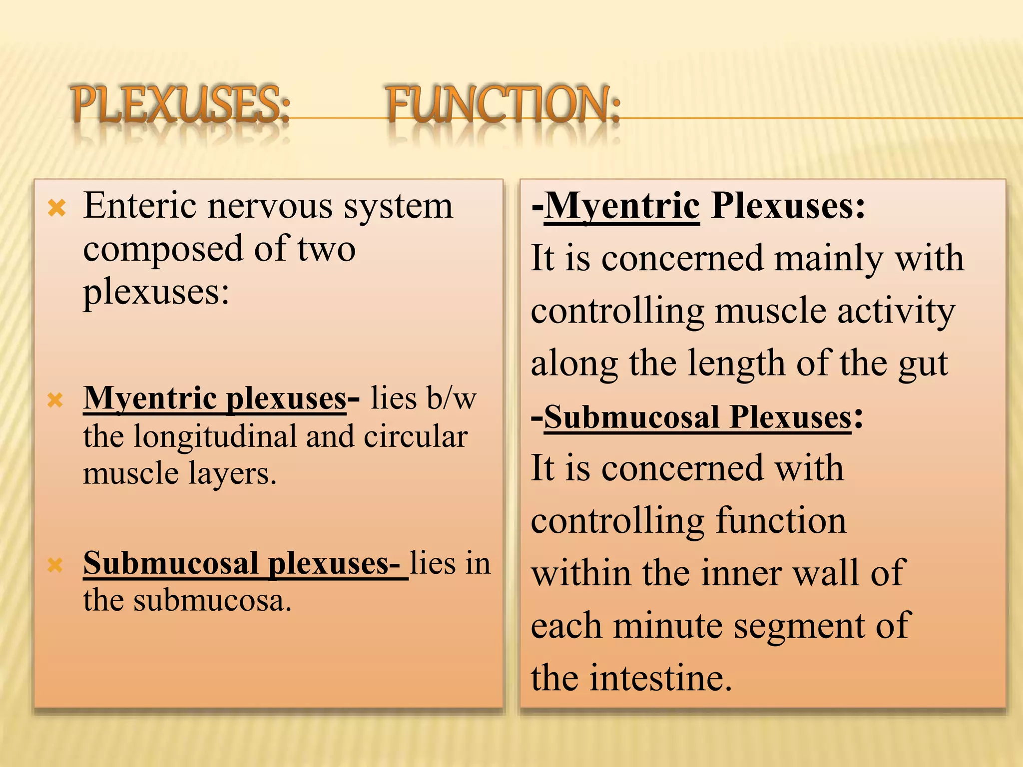 Enteric system as a small brain | PPTX