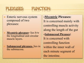 Enteric system as a small brain | PPTX