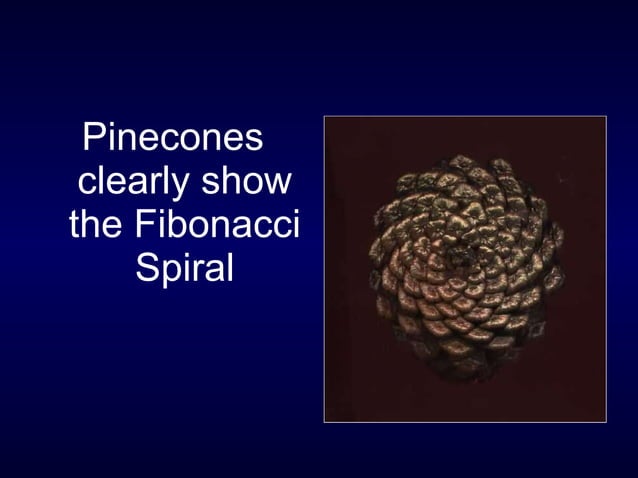 Fibonacci Sequence and Golden Ratio | PPT | Physics | Science