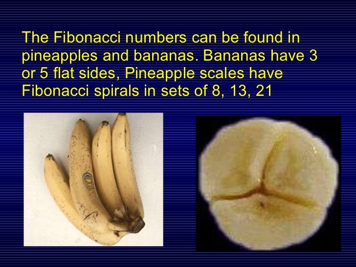 Fibonacci Sequence and Golden Ratio