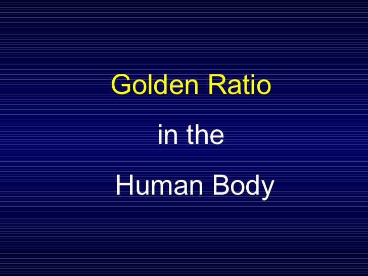 Golden Ratio Body