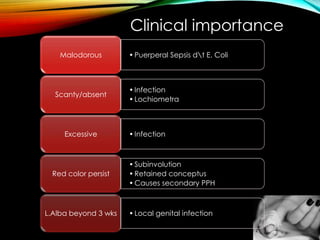 Normal Puerperium | PPT