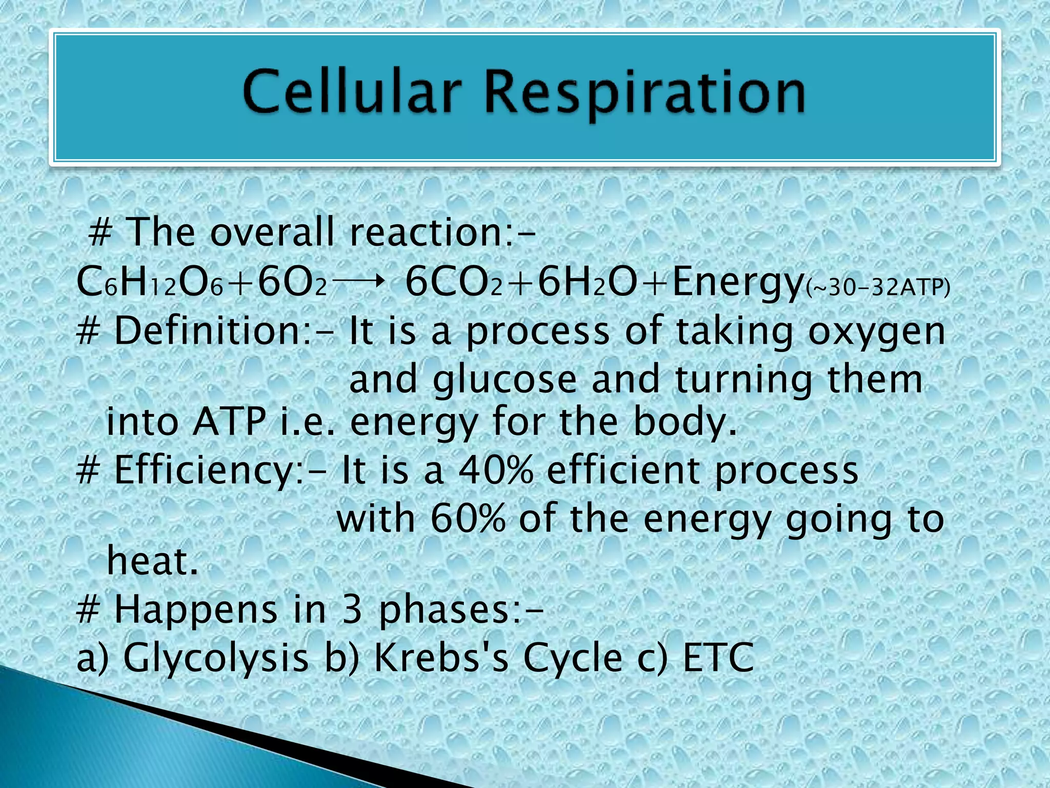 glycolysis and kreb cycle | PPTX