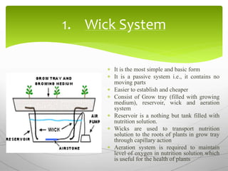 Soilless Agriculture | PPTX
