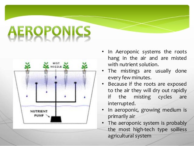 Soilless Agriculture Soilless Agriculture