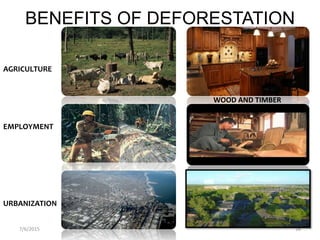 deforestation | PPTX