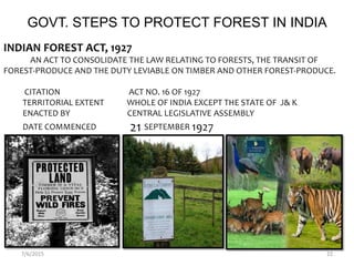 deforestation | PPTX