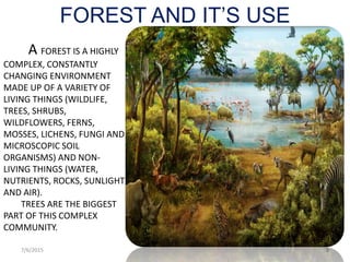 deforestation | PPTX