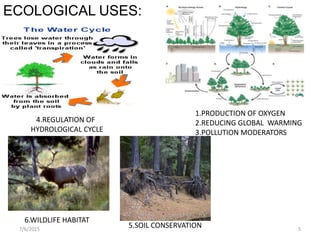 deforestation | PPTX