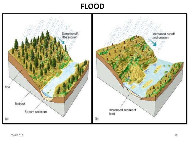 Deforestation Effects Diagram