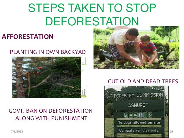 deforestation